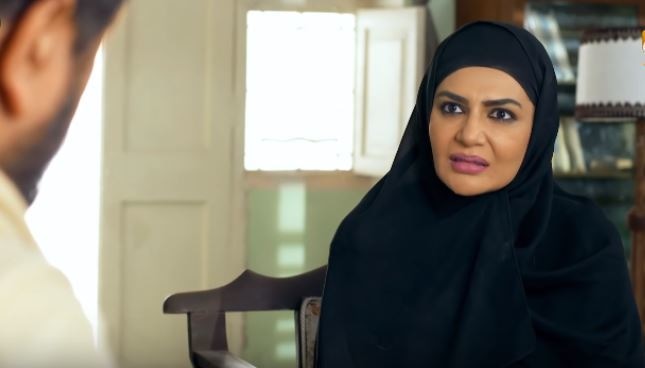 Meherposh Review: Iffat Omar and Ali Abbas Steal The Spotlight! - TV - HIP